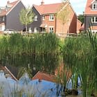 North East Crawley | CSA environmental