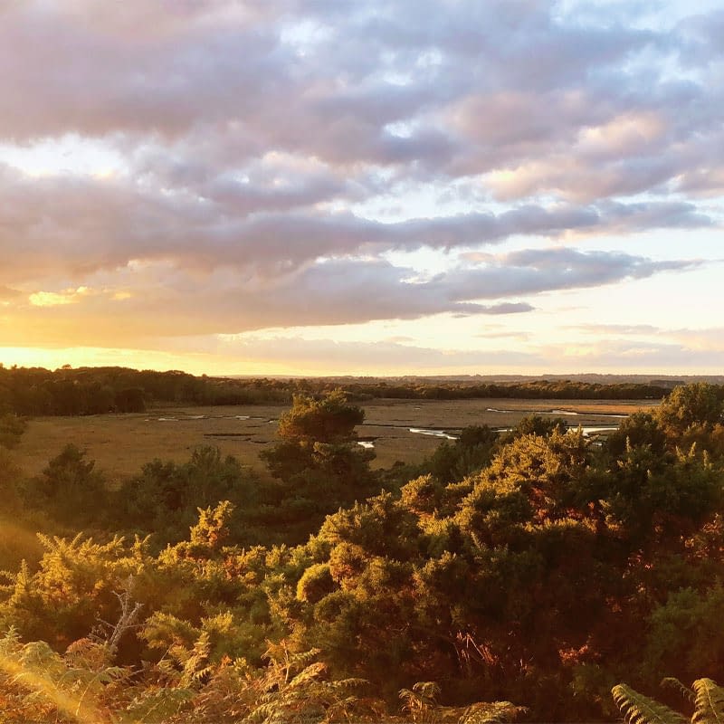 Revised SANG guidelines | CSA environmental