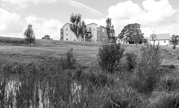 Services | CSA environmental